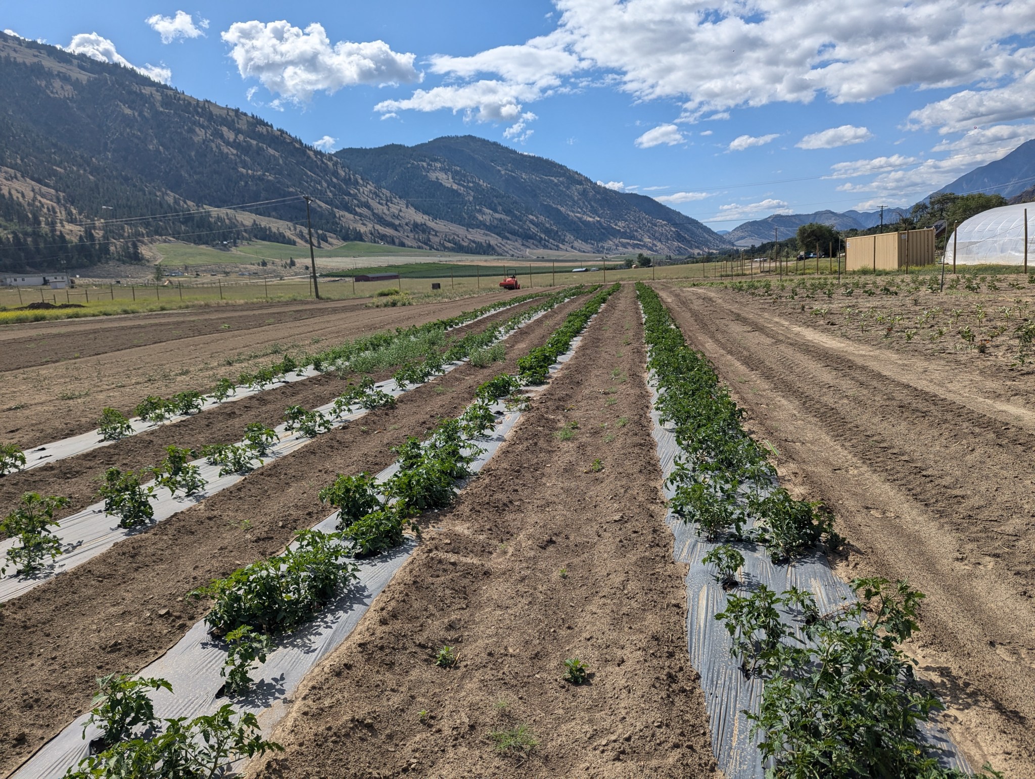 Smelqmix and Syilx people and lands – Ntamtqen Community Garden & Food Hub