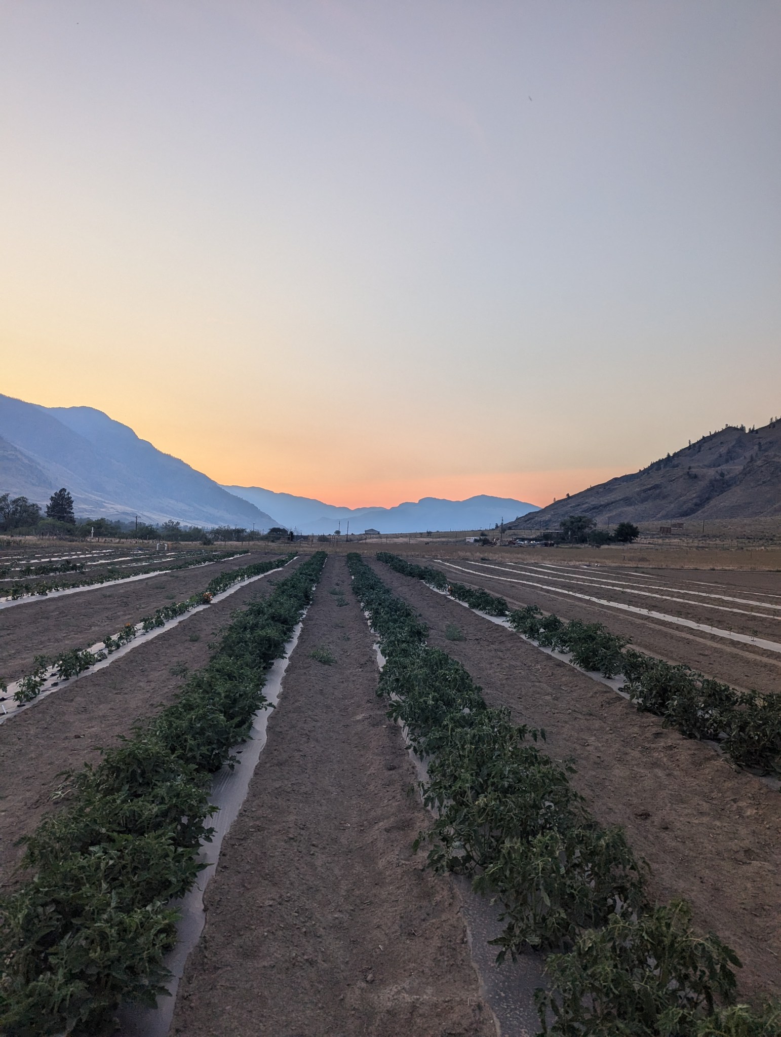 Smelqmix and Syilx people and lands – Ntamtqen Community Garden & Food Hub
